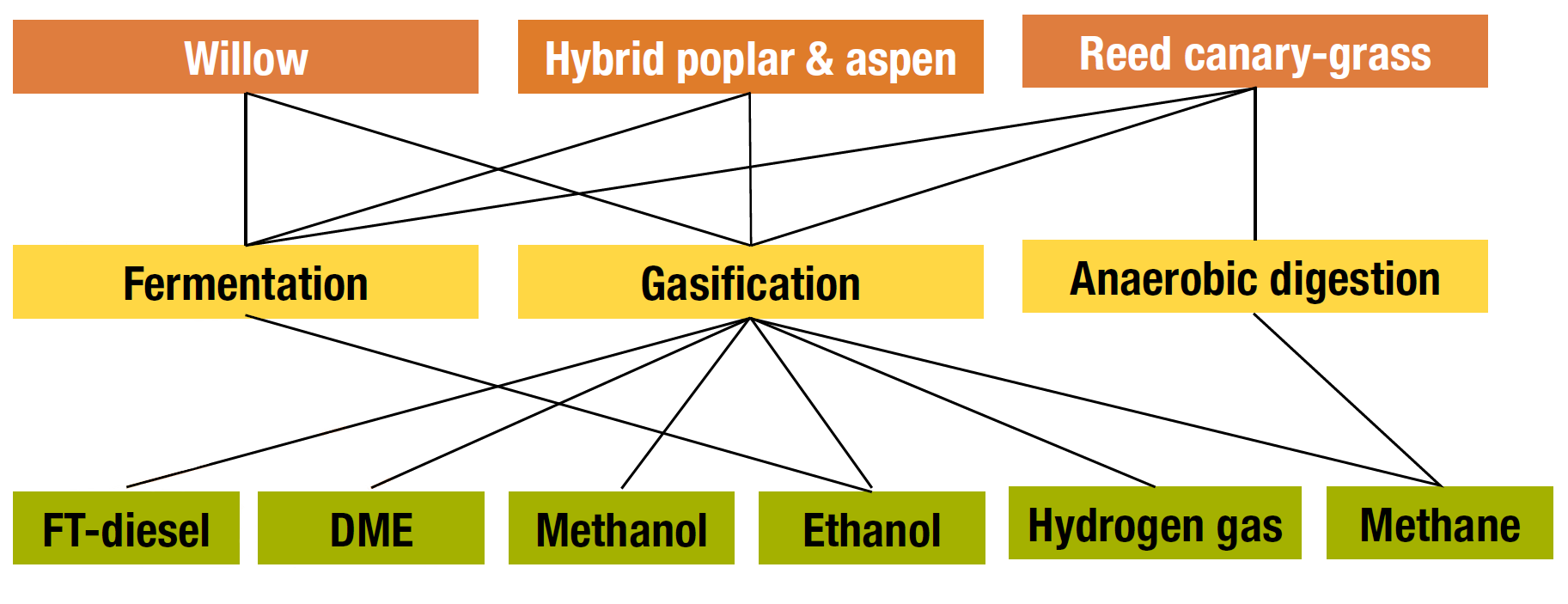 Energy crops from agriculture | f3 centre
