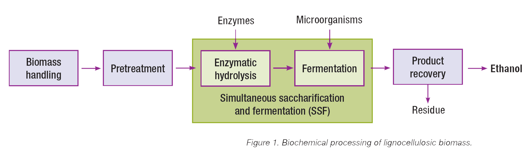 Biochemical conversion of lignocellulosic biomass | f3 centre