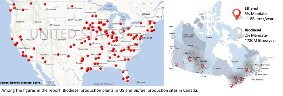 Increased biofuel production in North America due to promoting policies ...