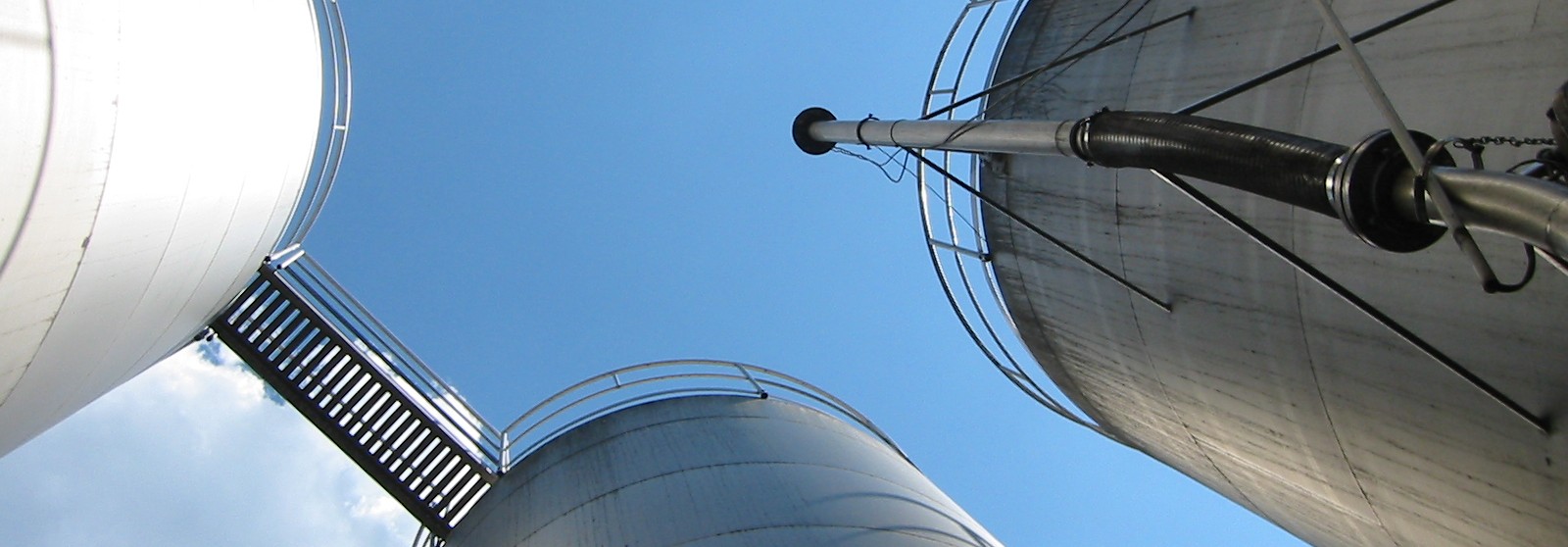 A future biorefinery for the production of propionic acid, ethanol ...