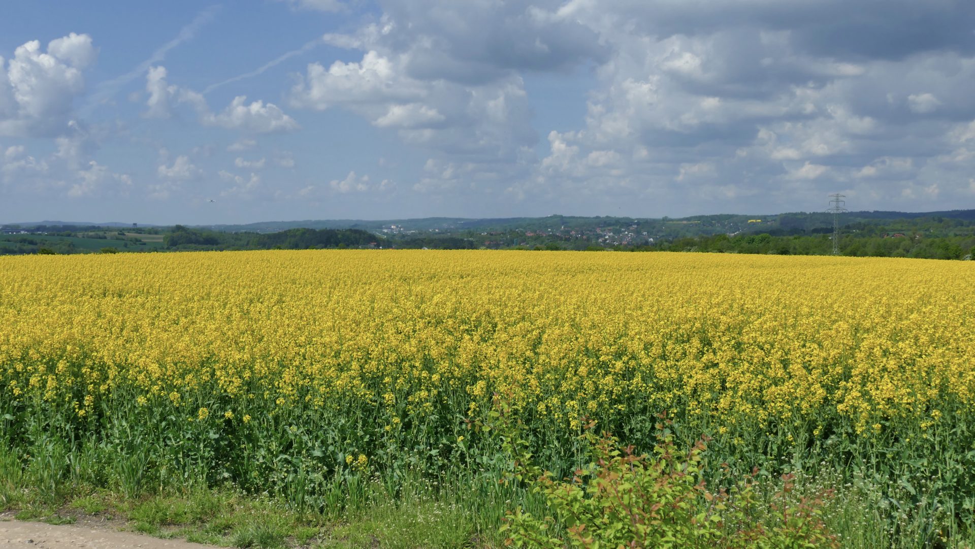 HEFA/HVO, Hydroprocessed Esters and Fatty Acids | f3 centre